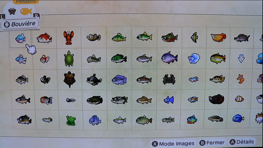 Tour d’horizon sur Poissons - Animal Crossing